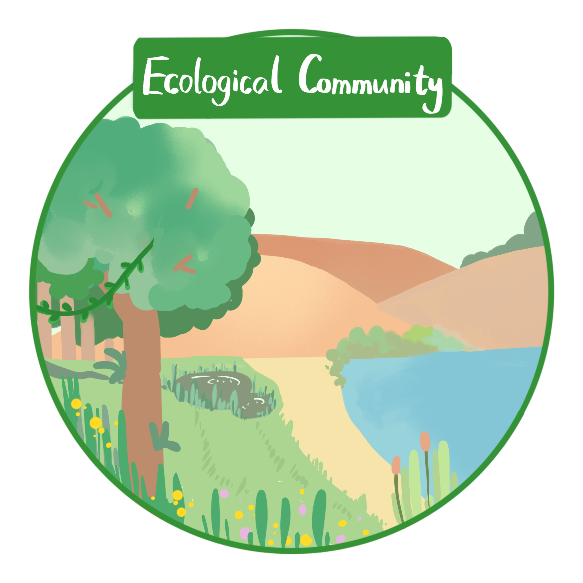 - Adaptation Catalogue for Conservation